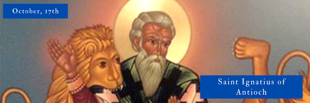 October, 17th | Saint Ignatius of Antioch – Holy Fatima OF